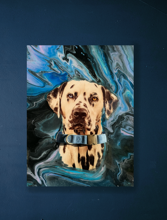 Prices – fetching collies